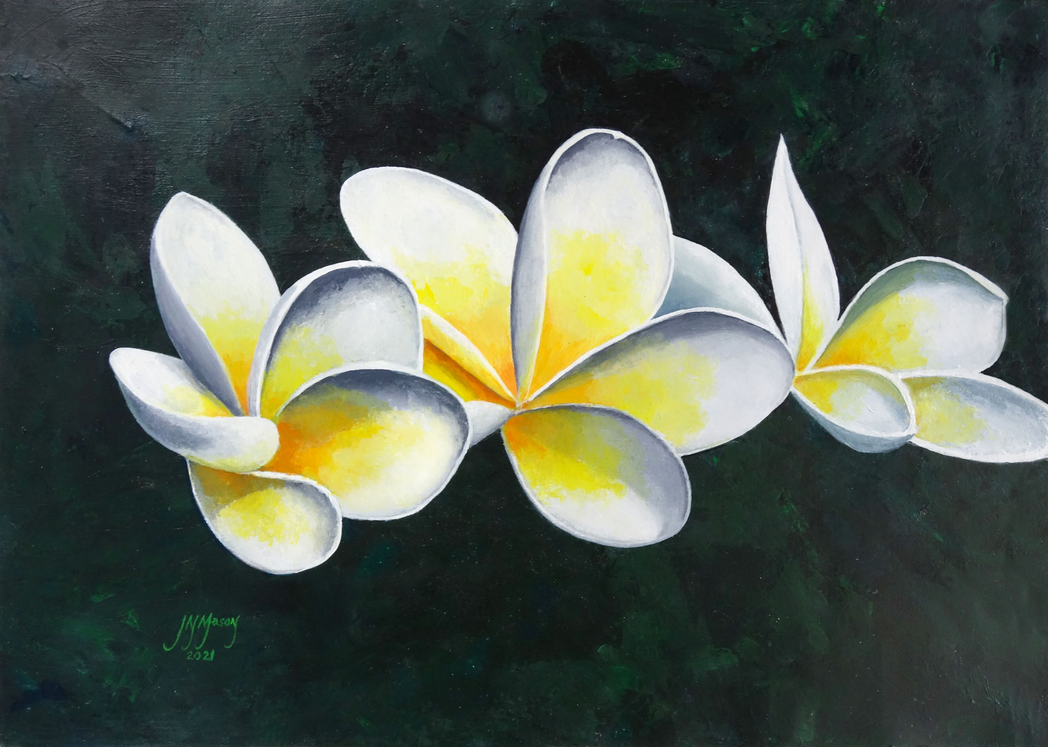 Frangipani – Original Artwork - Coolum Art Group